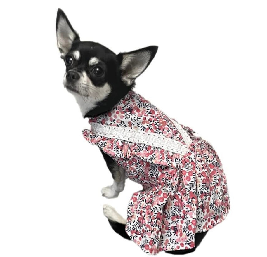 Dog Dresses AU | Fashion Houndz